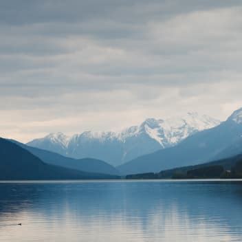 Tailwind CSS 只需书写 HTML 代码无需书写 CSS即可快速构建美观的网站 TailwindCSS中文文档 TailwindCSS中文网