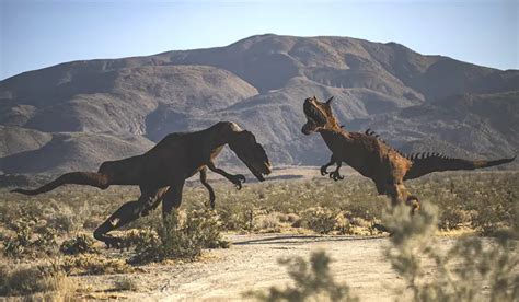 Dinosaur Sex And Mating Rituals The 2022 Update