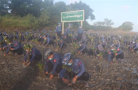 ၂၀၂၂ ခုနှစ်၊ တပ်မတော် ရေ မှ အရာရှိ၊ စစ်သည်များက ဒီရေတောပင်များ စုပေါင