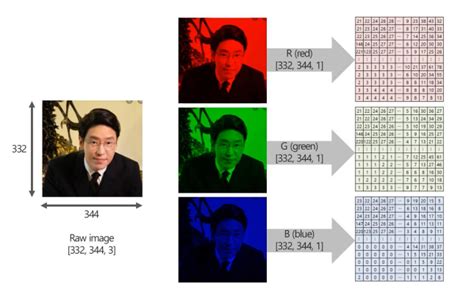 Dl Convolution Neural Networks Cnn