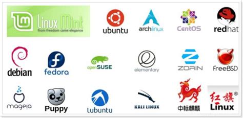 Linux系统概述 Csdn博客