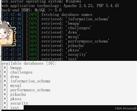 最适合post型sql注入小白之sqli Labs靶场超详细原理（less 17~less 21：post手动注入和sqlmap自动注入错误