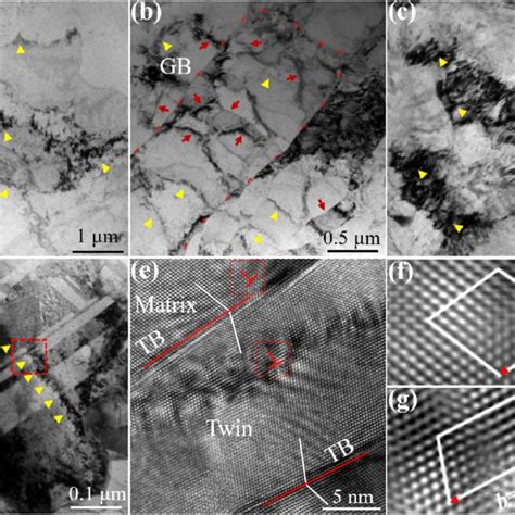 Detailed Microstructural Evolution Of The Deformed Sub Surface Region