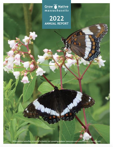 Our Leadership Reports And Financials Grow Native Massachusetts