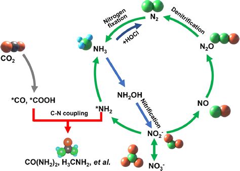Advanced Characterization Techniques For Understanding Electrocatalytic