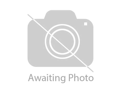 Last Little Boy Fox Red Cockapoo F1b Puppies Extensively Health Tested