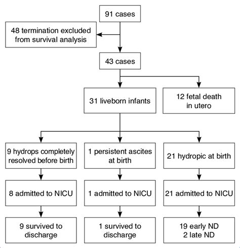Flow Chart Of The Cases Download Scientific Diagram