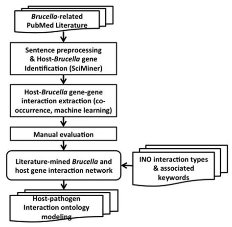 Project Design Pipeline And Workflow Download Scientific Diagram