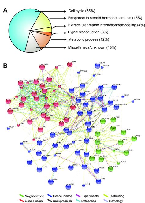 Data Mining Analysis Of The Gene Expression Meta Signature A Gene