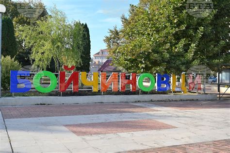 До 16 часа в община Бойчиновци са гласували 53 40 на сто от избирателите Утро