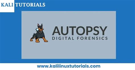 autopsy 4 21 0 release with faster search and malware scanning