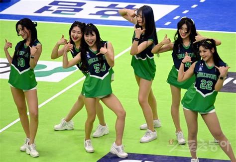 배구 코트의 꽃 ‘미녀 치어리더 포토 ｜스포츠동아