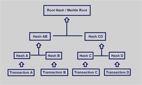 Github Anudishjainmerkle Tree Python Script To Calculate Merkle 🌲 Transaction Verifications