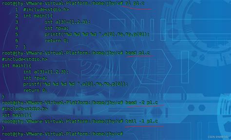 2linux文件目录相关命令 B 或 Escape显示脱离字符。 B 或 Ignore Backups忽略备份文件和目 Csdn博客