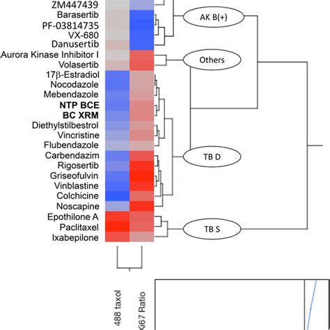 Unsupervised Clustering Results Are Shown As A Two Dimensional Download Scientific Diagram