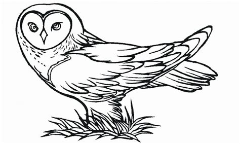 Imgchili Raven Holidays Oo Imgchili Raven Holidays Oo