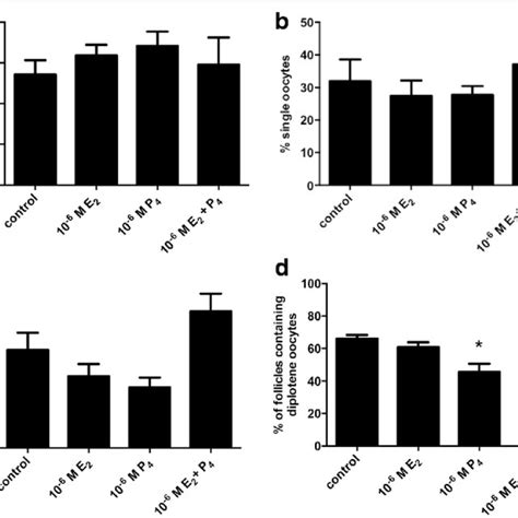 Diplotene Stage Oocytes Are First Detected At 175 Dpc A Percentage Of
