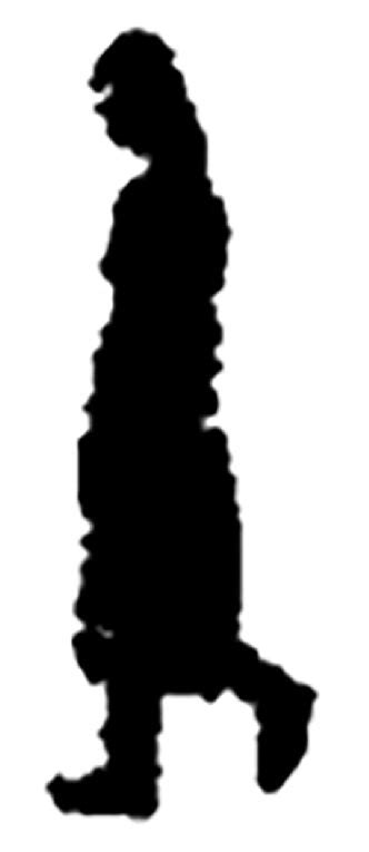 A Foreground Image B Color Image Of Foreground Subtracts Download Scientific Diagram