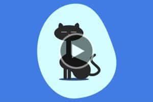 Corel Vector Tutorials Corel Discovery Center