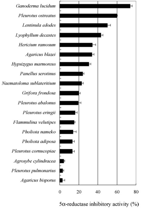 10 Best Natural DHT Blockers That Work Hairguard