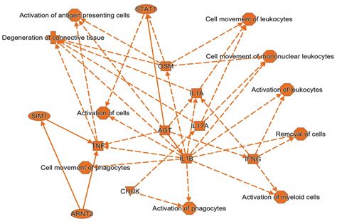 The Summary Graph Of Upstream Regulators Download Scientific Diagram