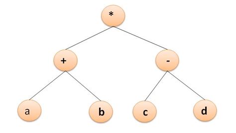 Postorder Traversal In A Binary Tree Csveda