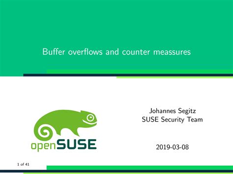 scale17x buffer overflows ppt