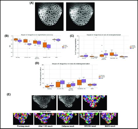 A Effect Of Blurring On An Image B Comparing Segmentation Download Scientific Diagram