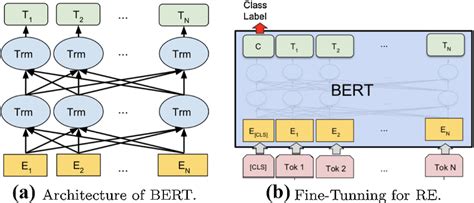 Utilizing Bert For Relation Extraction Download Scientific Diagram