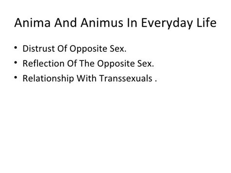 Anima And Animus