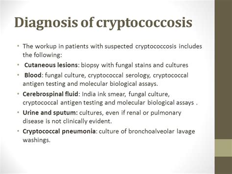 Cryptococcus Culture