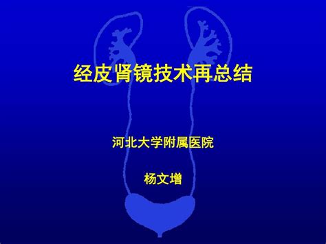 经皮肾镜技术再总结 word文档在线阅读与下载 免费文档