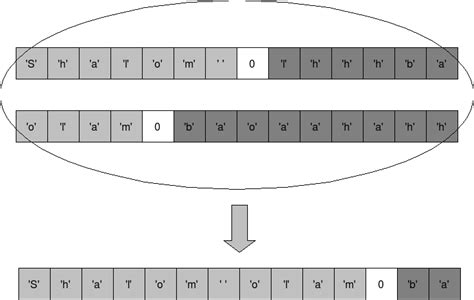 שפת C מחרוזות ויקימחשבים Fandom