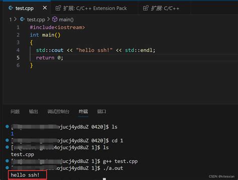 Vs Code Server For Wsl Closed Unexpectedlyvscode Server For Wsl Closed Csdn博客