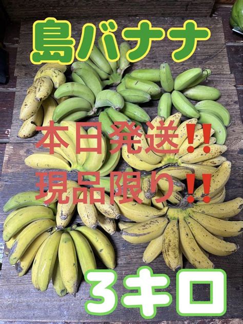 ジャガイモゴール10キロ⭐️島バナナ⭐️3キロ⭐️グヮバおまけ‼️現品限り‼️ メルカリ