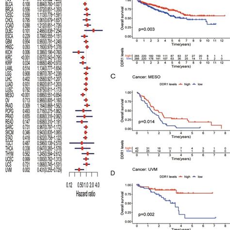 Association Between Ddr1 Expression And Overall Survival Os A