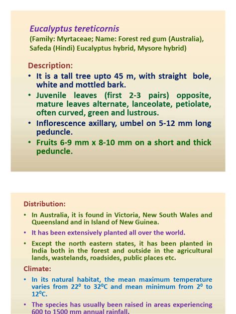 Eucalyptus Pdf Seed Root