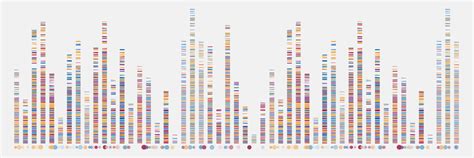 What Is Bioinformatics Genomics Education Programme