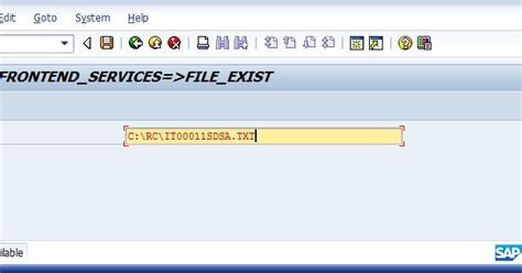 An Sap Consultant Sap Abap Clguifrontendservicesfileexist