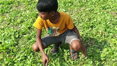 Funny Video 🤣🤣🤣 Video Viralshort Errorarif Youtube