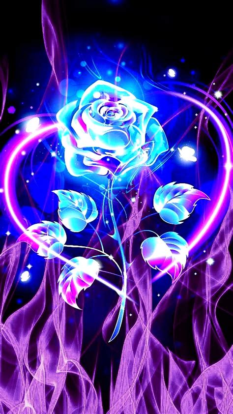 Purple Fire And Ice Roses