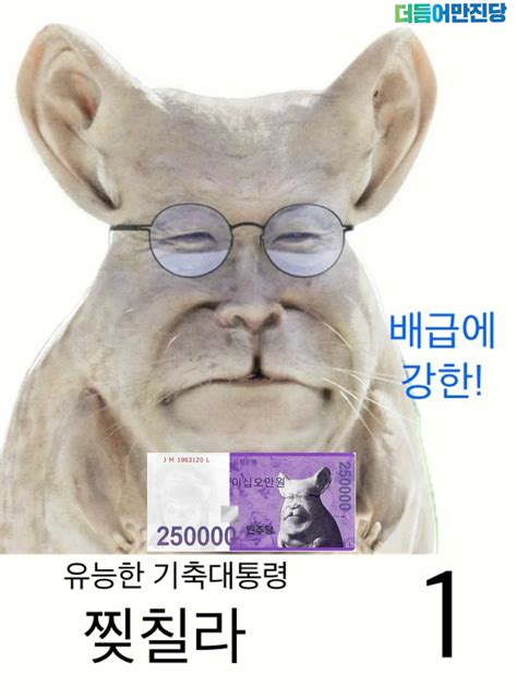 옳게된 이재명 선거 포스터 정치 시사 에펨코리아