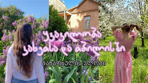 გაზაფხულის ვლოგი ატმის და იასამნის ყვავილობა კახეთსა და თბილისში Georgianadventurer Youtube