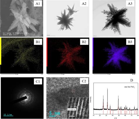 A Sem Images A1 Tem Images A2 A3 B The Corresponding Mapping