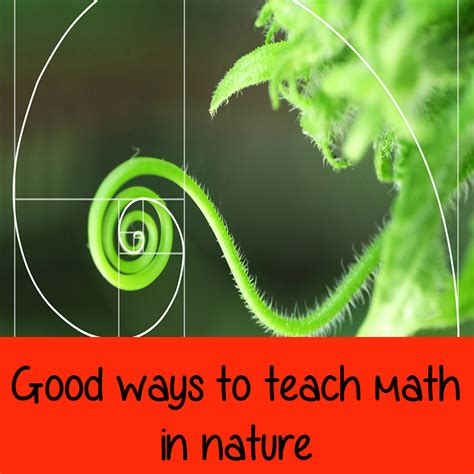Math Patterns In Nature