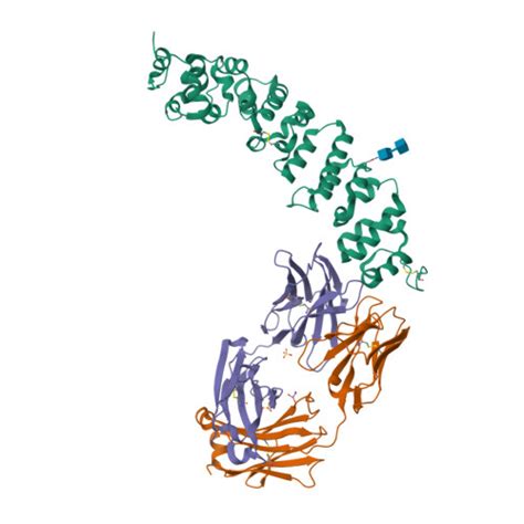Rcsb Pdb 7ued Crystal Structure Of Full Length Mesothelin Bound With Morab 009 Fab