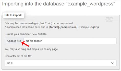 How To Import A Database Via Phpmyadmin In Cpanel — Aeserver