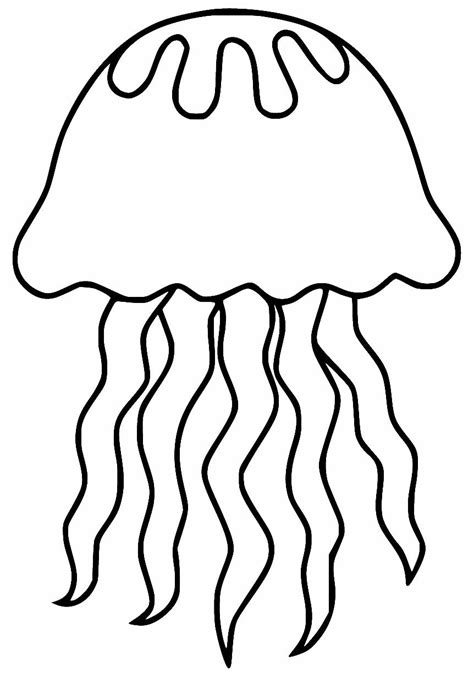 Desenhos De Água Viva Para Colorir Bora Colorir