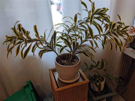 Android Gyroscope Opengl Lookat Position Stack Overflow