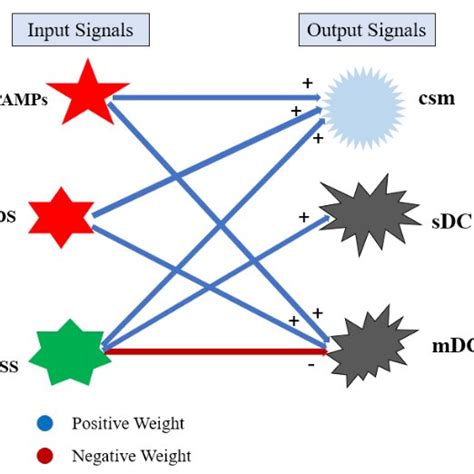 Abstract Model Of Dc Signal Processing Download Scientific Diagram